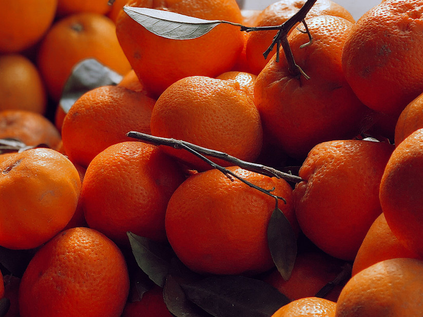 Gunpla Grade and Scale 101 - Gunpla 101